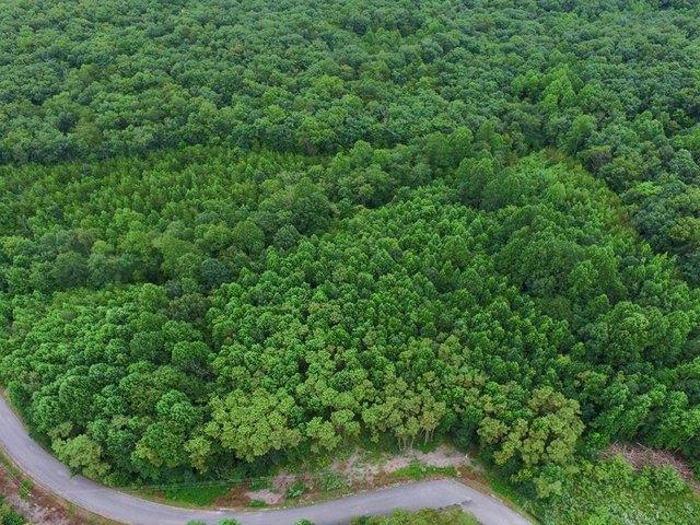292 Overlook Dr Lot 20, Spencer, TN 38585