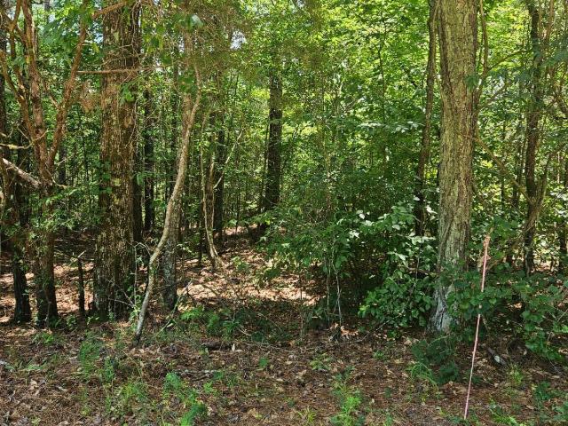 292 Mccannon Rd Tract 3A
