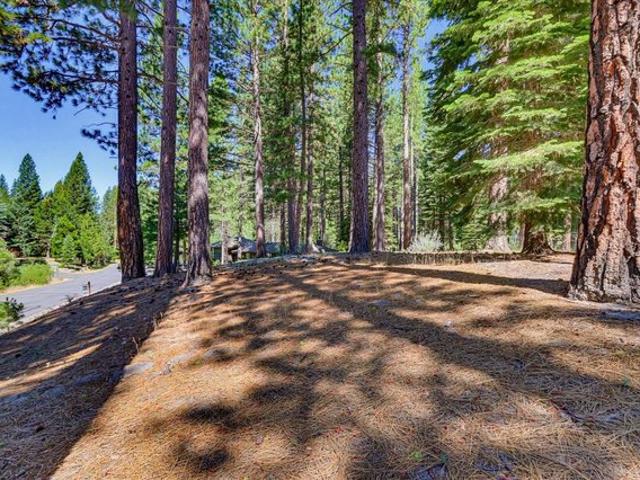 292 McKenzie Trl Lot 2, Clio, CA 96106
