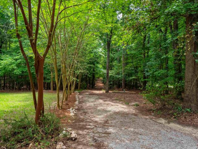 292 Quail Walk Trail