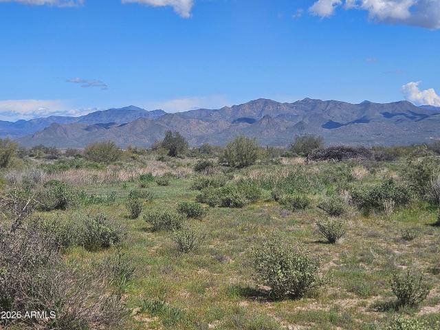 292 xx N 164th St, Scottsdale, AZ 85262 | MLS #6984