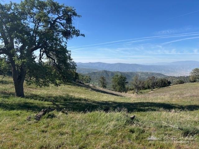 29350 Skyline Dr, Tehachapi, CA 93561