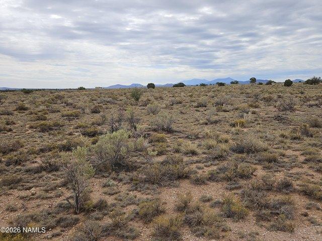 2937 S Dewey Dr, Williams, AZ 86046