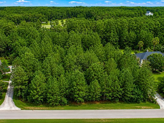 29310 Deer Creek