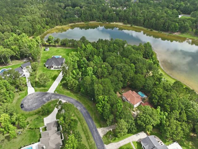 29320 Clydesdale Drive