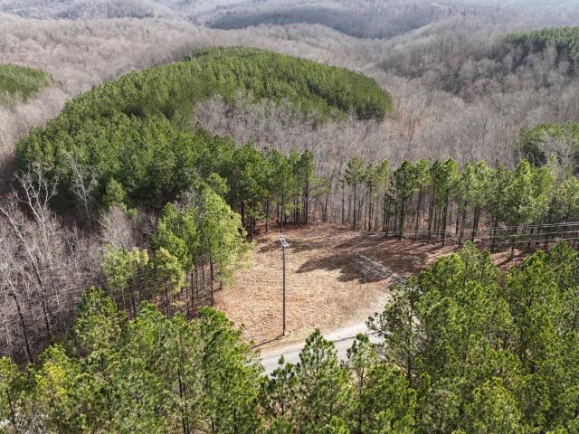 2932 Old Hohenwald Rd