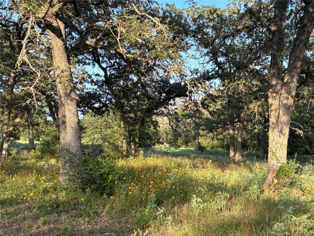 2933 County Road 457