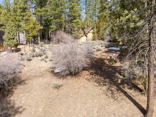 293 Catalina Rd, Big Bear Lake, CA 92315 | MLS #32600