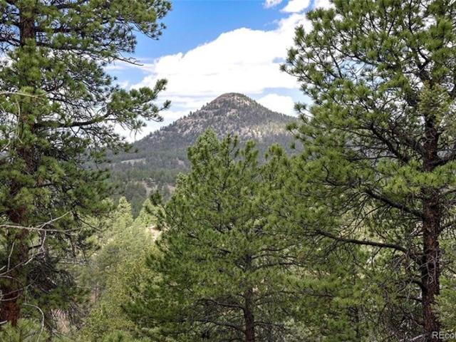 293 Badger Trl, Florissant, CO 80816