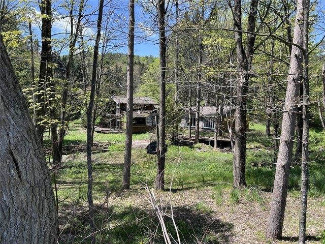 293 Lockwood Hill Rd, Unadilla, NY 13849