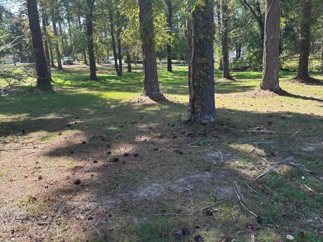 293 NW South Lake Dr, Thomson, GA 30824 | MLS #98224