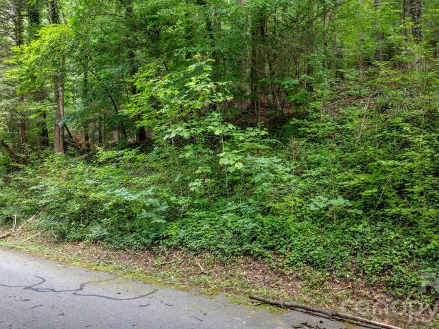 2945 Rockwood Drive