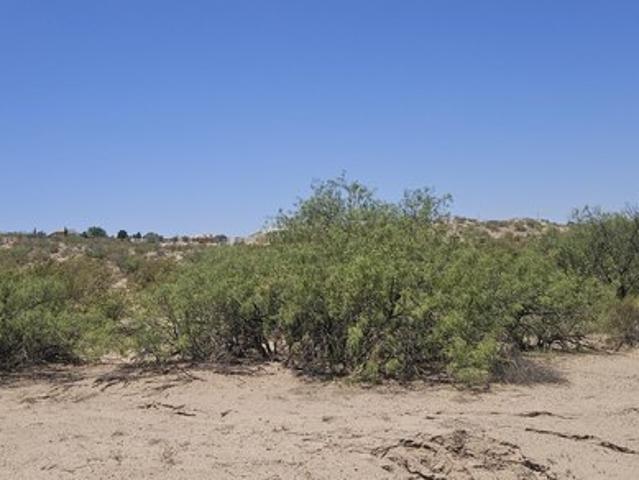 2940 Mesilla Hills Dr, Las Cruces, NM 88005