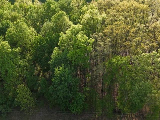 2941 Yuma Dr, Franklin Township, OH 45171