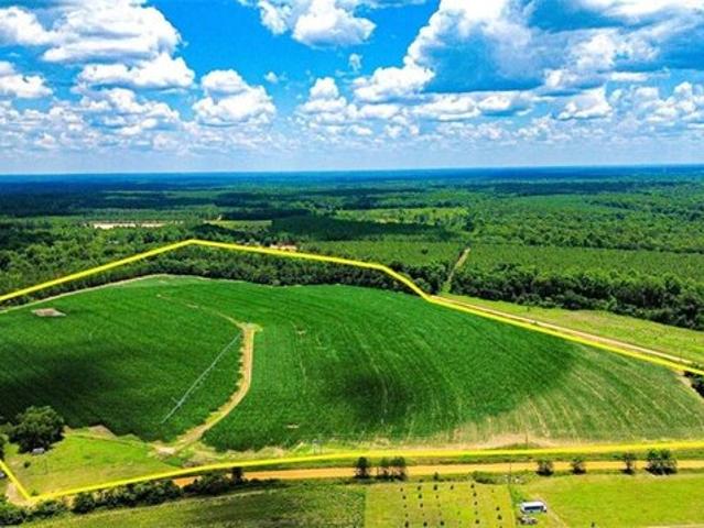 2941J D Williams Rd, Cadwell, GA 31009