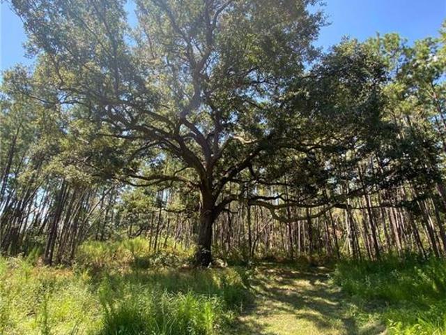 29424 George White Rd, Holden, LA 70744 | MLS #2474 | Compass