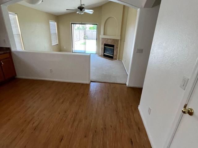 29429 n blackfoot daisy drive
