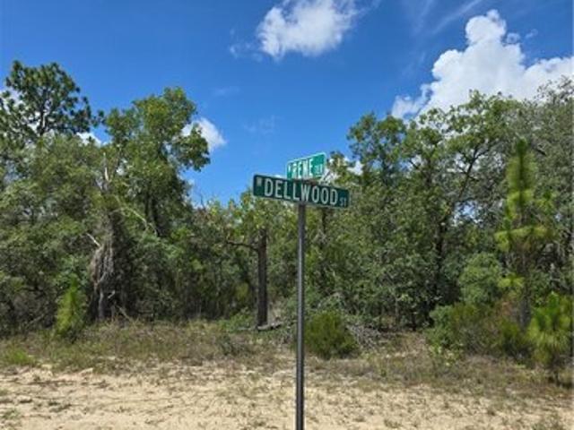 2942 W Dellwood St, Dunnellon, FL 34433