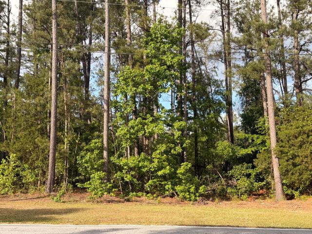 2943 Willis Foreman Road