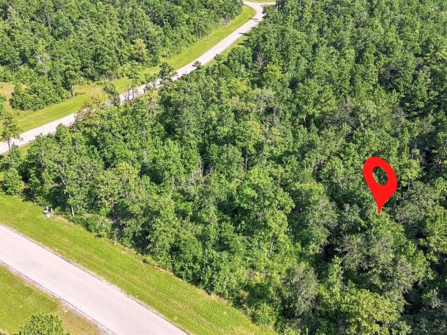 294 Iron Horse Road