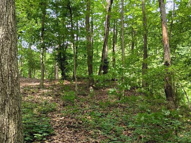 294 Old Racetrack Road