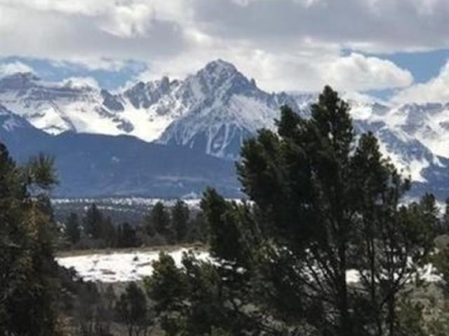 294 Marmot Dr, Ridgway, CO 81432