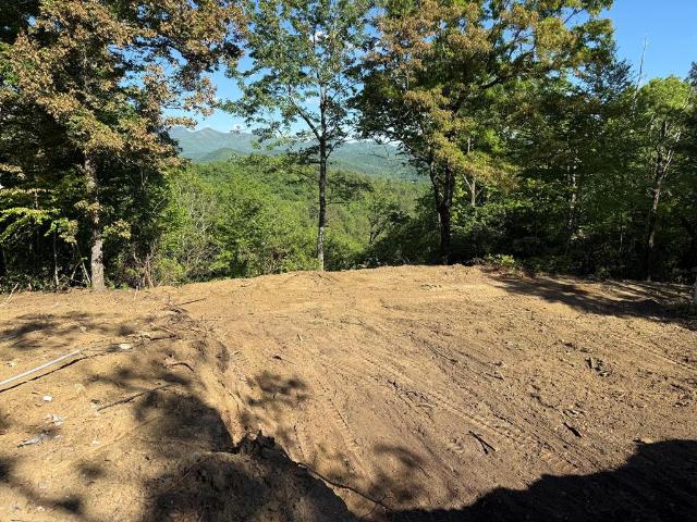 294 Shearer Ridge