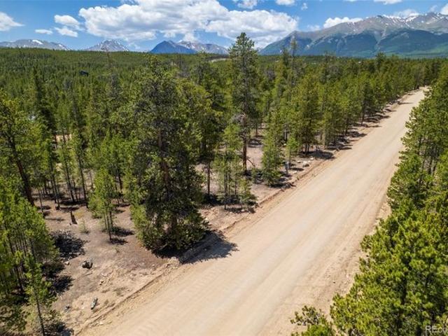 294 Peak View Dr, Twin Lakes, CO 80461
