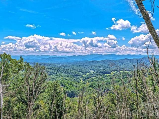 294 Red Knob Ln, Marshall, NC 28753