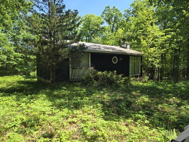 294 W Ingerman Dr, Baldwin, MI 49304