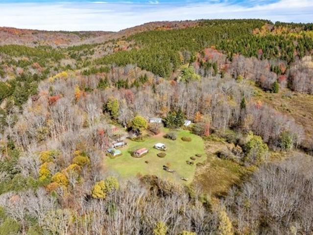 294 Will Warner Rd, Otselic, NY 13155