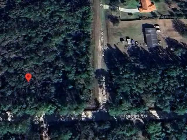 2956 PERSIMMON ST, BUNNELL, FL 32110 Vacant Land For Sale MLS.
