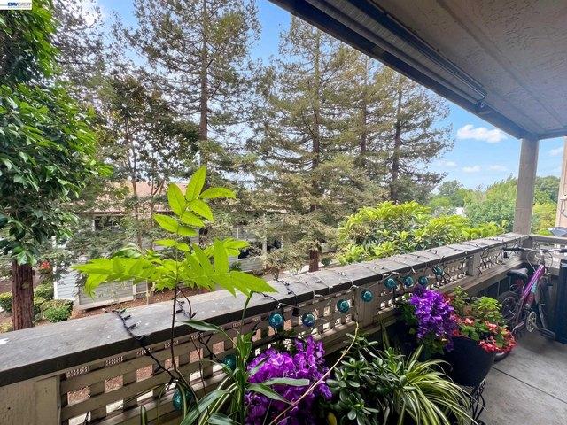 29599 Vanderbilt St Apt 204, Hayward, CA 94544