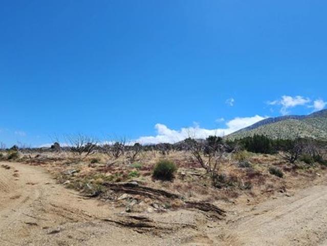 29500 th St E, Juniper Hills, CA 93543