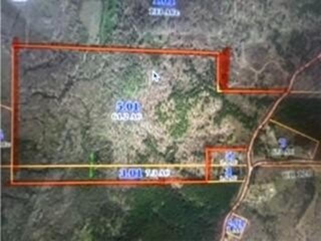 2951 County Road 100, Walnut, MS 38683