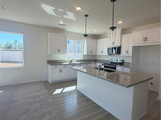 29522 Blue Lake Lane