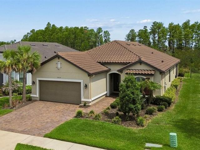 29534 Ginnetto Dr, Wesley Chapel, FL 33543