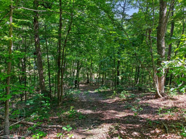2953 Harmons Lick Road
