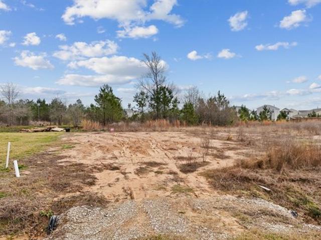 295 County Road 5102F, Cleveland, TX 77327