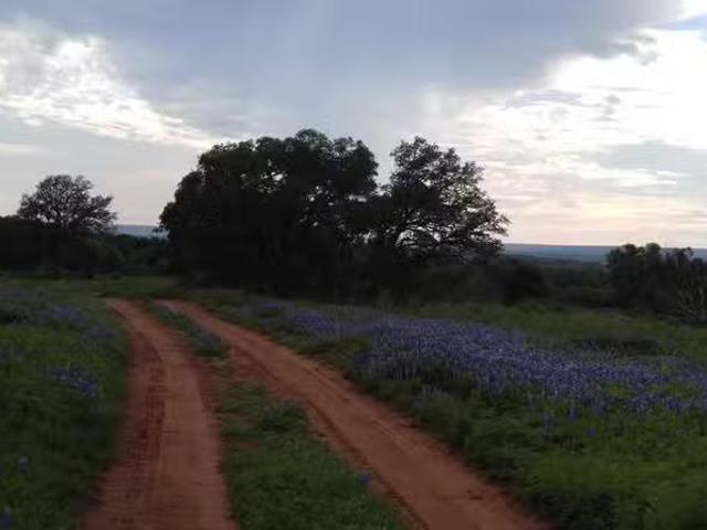 295 Cedar Trl, Fredericksburg, TX 76856 MLS 91233