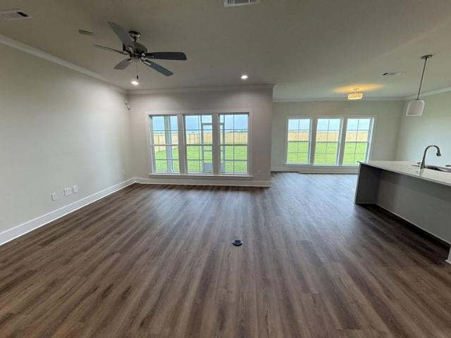 295 Adkinson