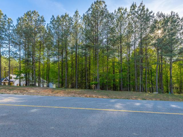 295 Bear Trace Drive