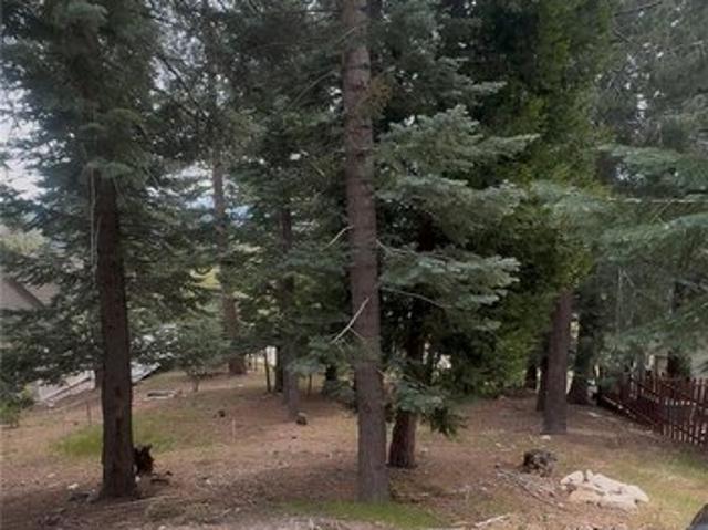 295 Grandview, Twin Peaks, CA 92391