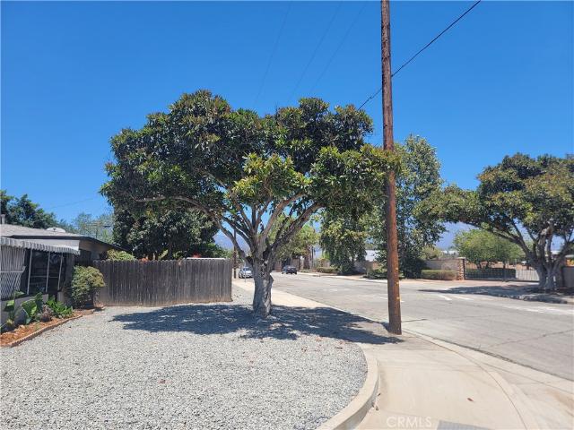 295 E Grevillia