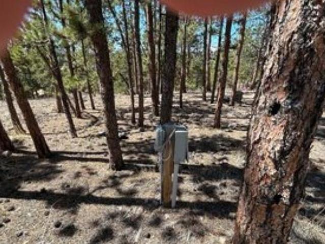 295 Piney Knolls Dr. Red Feather Lakes, USA, CO