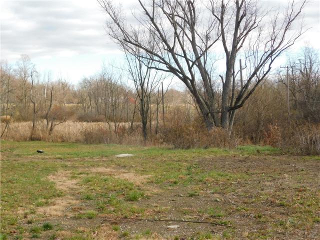 295 Walnut Hill Road