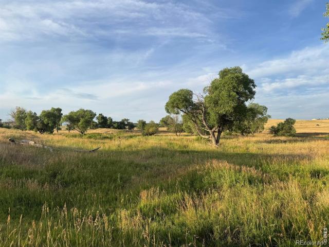 29643 County Road 17/21