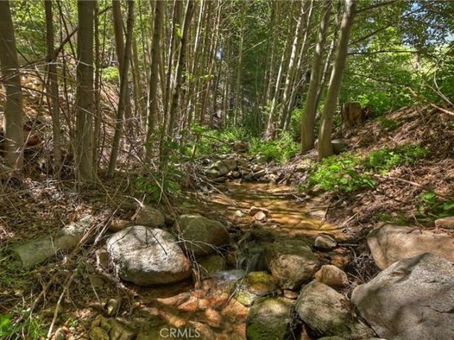 29649 Hook Creek Rd, Cedar Glen, CA 92321