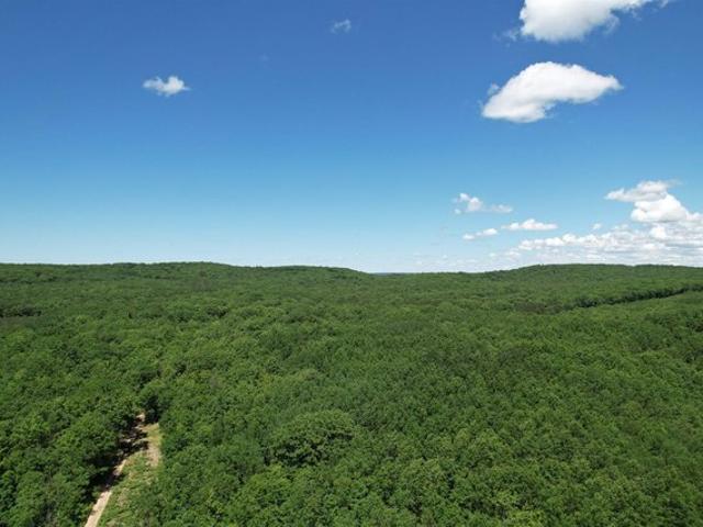 2966 W Houghton Lake Rd, Lake City, MI 49651