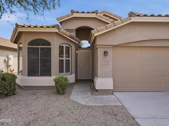 29629 n blackfoot daisy drive